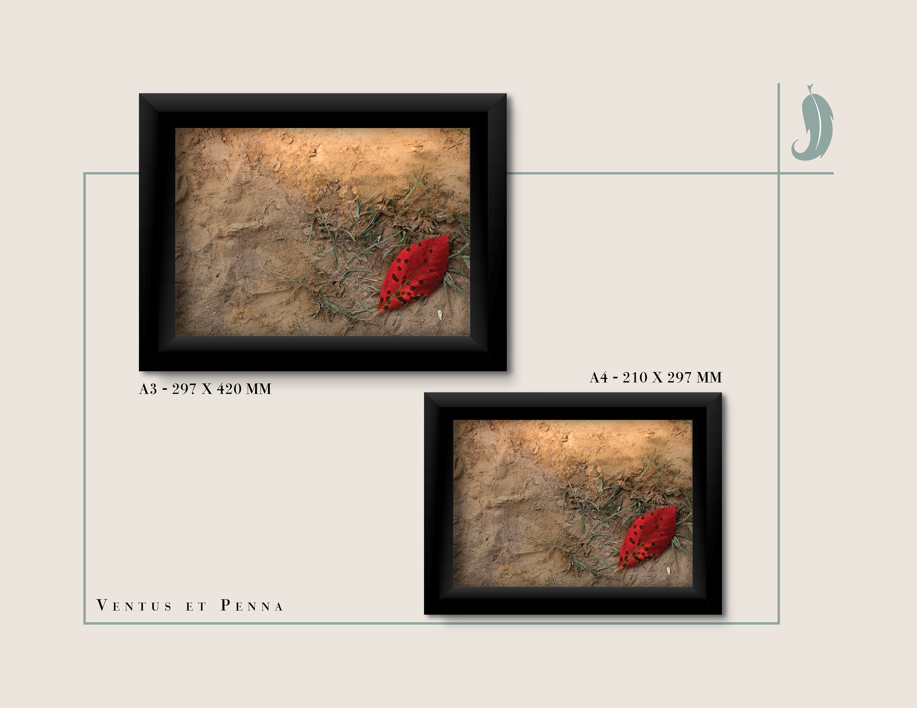 A Touch of Red - Color Photograph - Digital File for Print - Etsy UK