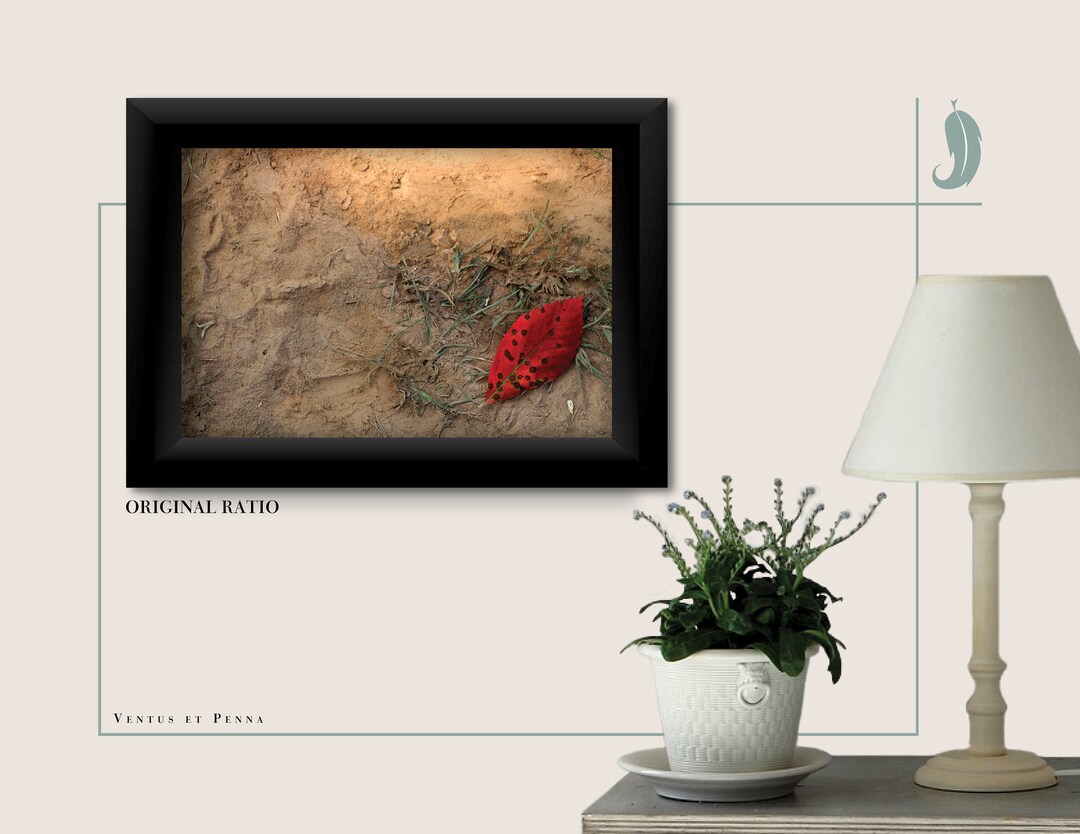 A Touch of Red - Color Photograph - Digital File for Print - Etsy UK