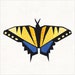 Eastern Tiger Swallowtail Butterfly Quilt Foundation Paper Pieced ...