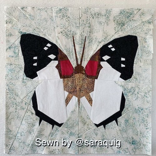Geometric Luna Moth Foundation Paper Pieced Quilt Pattern - Etsy