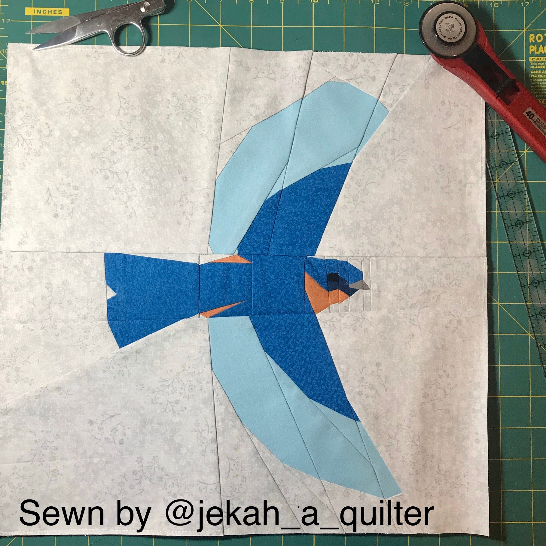 Soaring Eastern Bluebird PDF Foundation Paper Pieced Pattern | Etsy