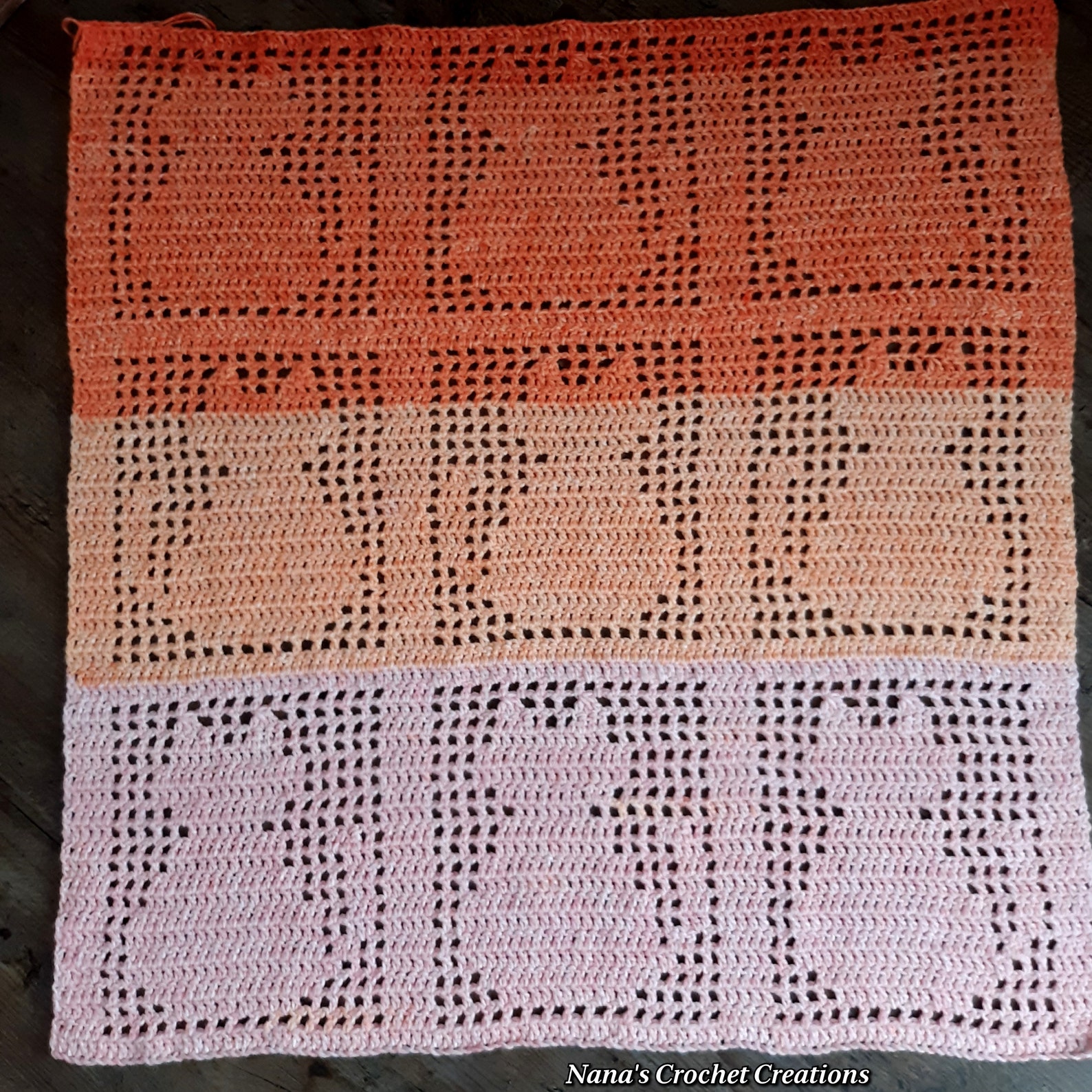 PHOEBE Filet Crochet Cat Blanket Pattern | (PDF Pattern) - Etsy