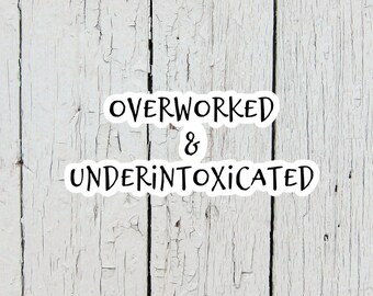 Adult Humor Stickers | Etsy