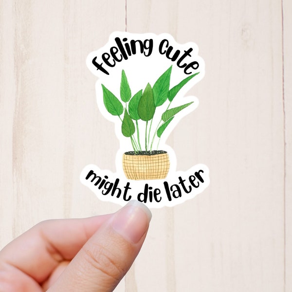 Feeling Cute Might Die Later Plant Pot - Etsy