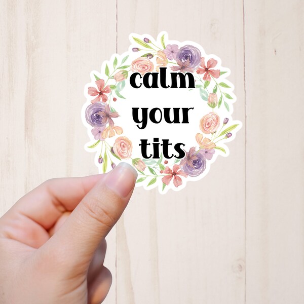 Adult Humor Stickers - Etsy