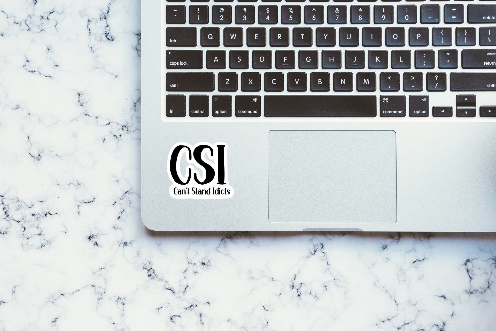 CSI Sticker Can't Stand Idiots Sarcastic Stickers - Etsy