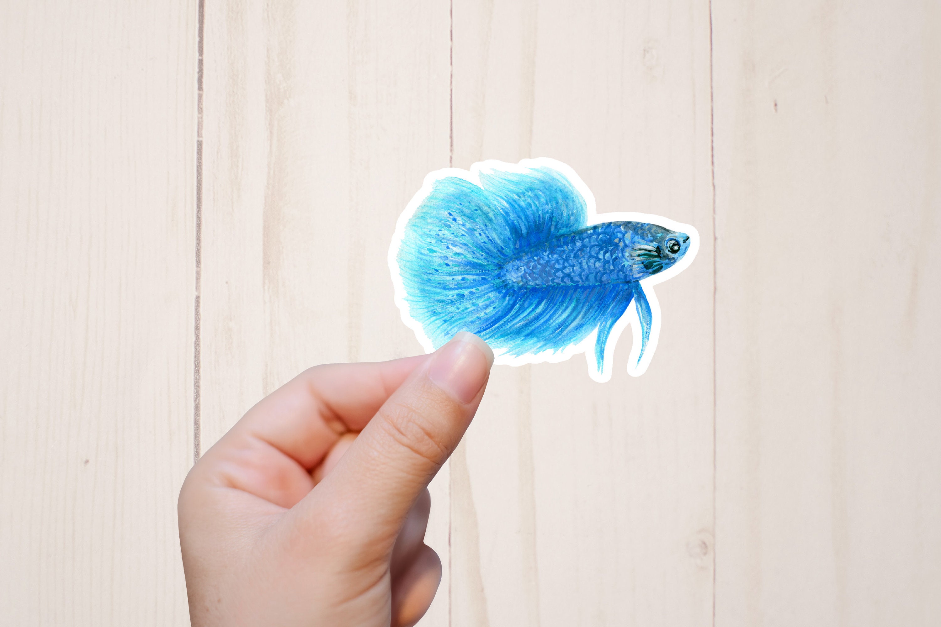 Blue Betta Fish Sticker Fish Stickers Aesthetic Stickers | Etsy