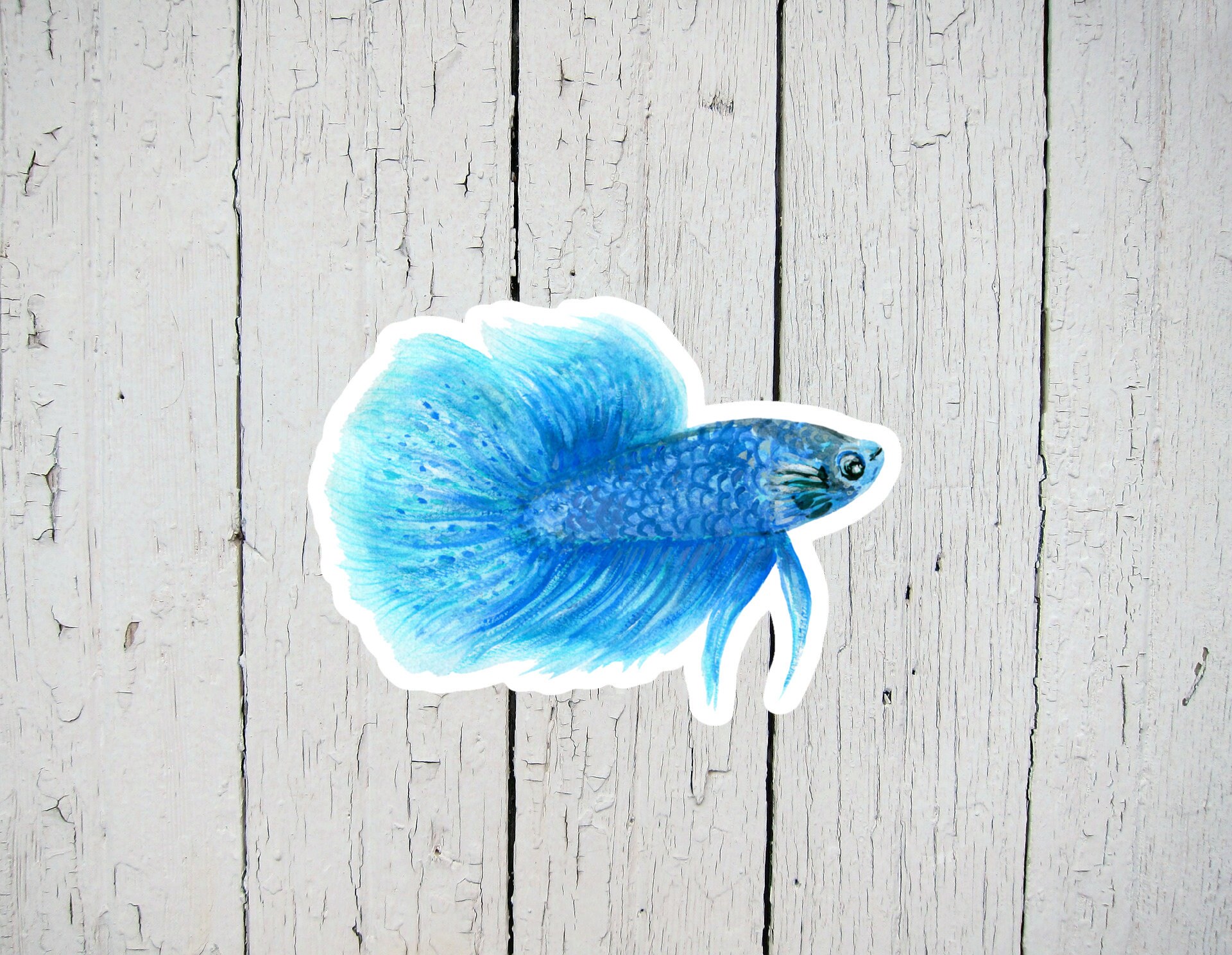 Blue Betta Fish Sticker Fish Stickers Aesthetic Stickers | Etsy