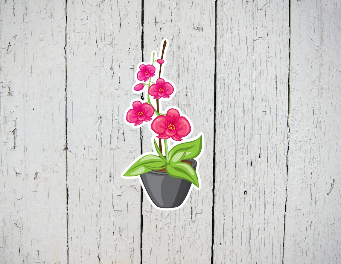 Orchid Sticker Flower Stickers Laptop Sticker Aesthetic | Etsy