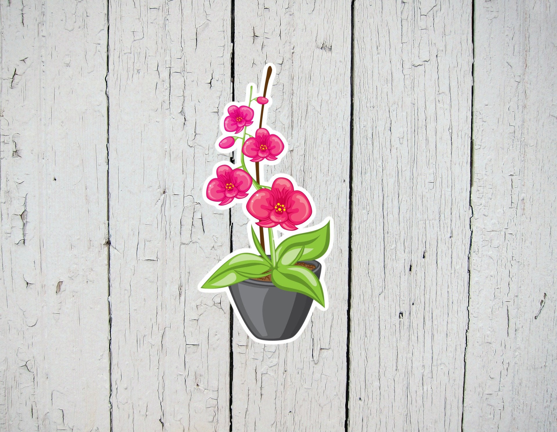 Orchid Sticker Flower Stickers Laptop Sticker Aesthetic - Etsy