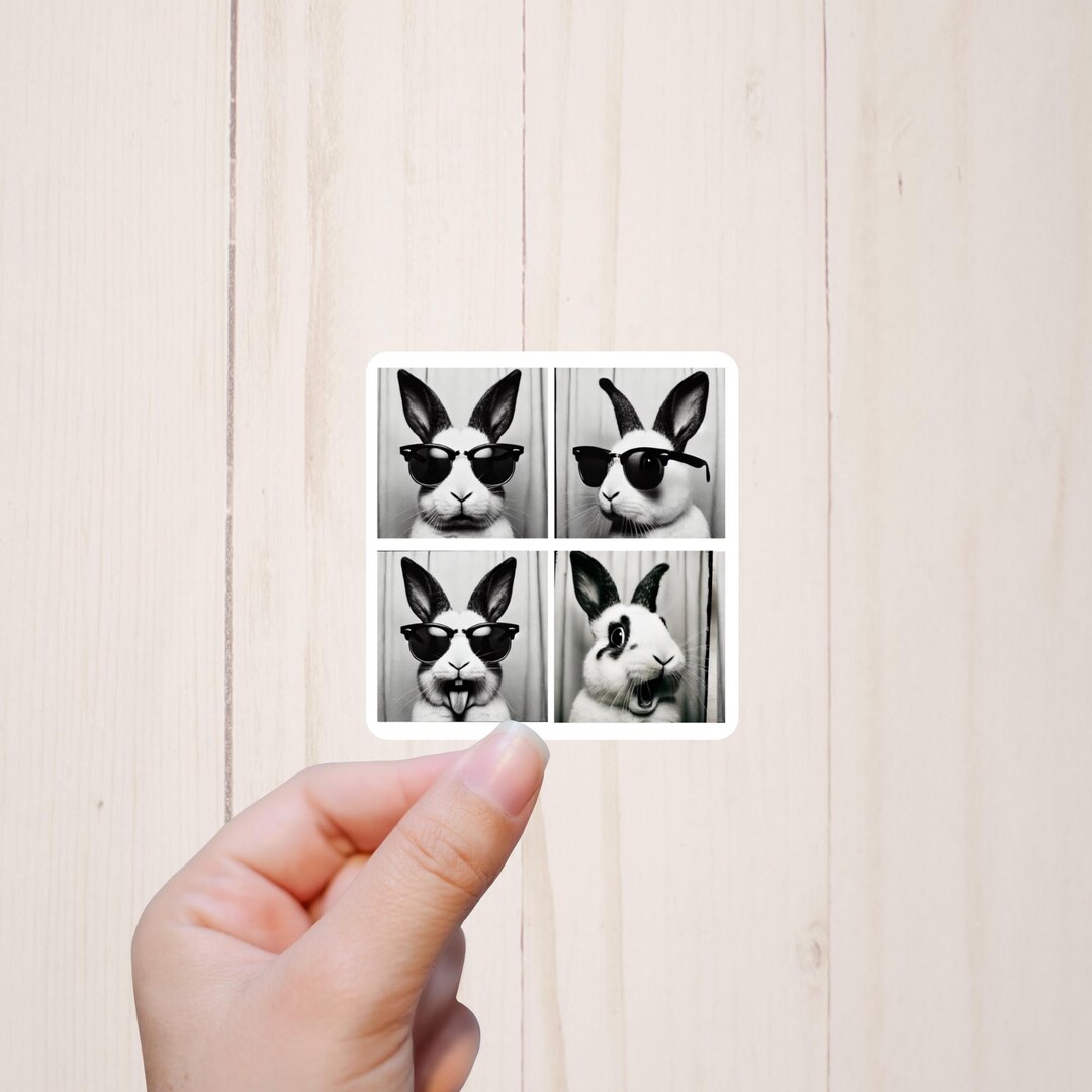 Funny Rabbit Sticker, Photo Booth, Unhinged Meme Sticker - Etsy