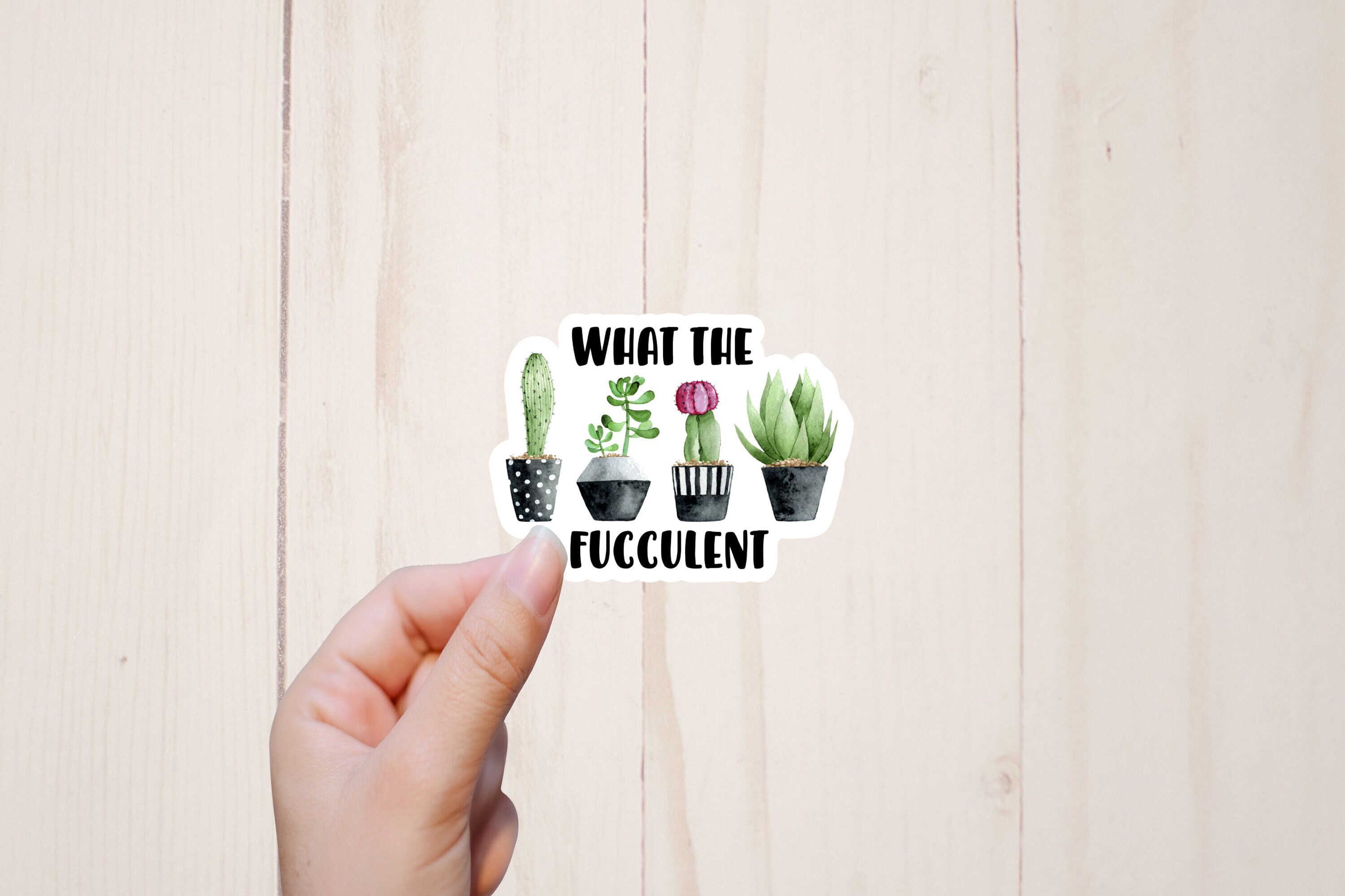 What the Fucculent Sticker Succulent Stickers Plant Laptop - Etsy