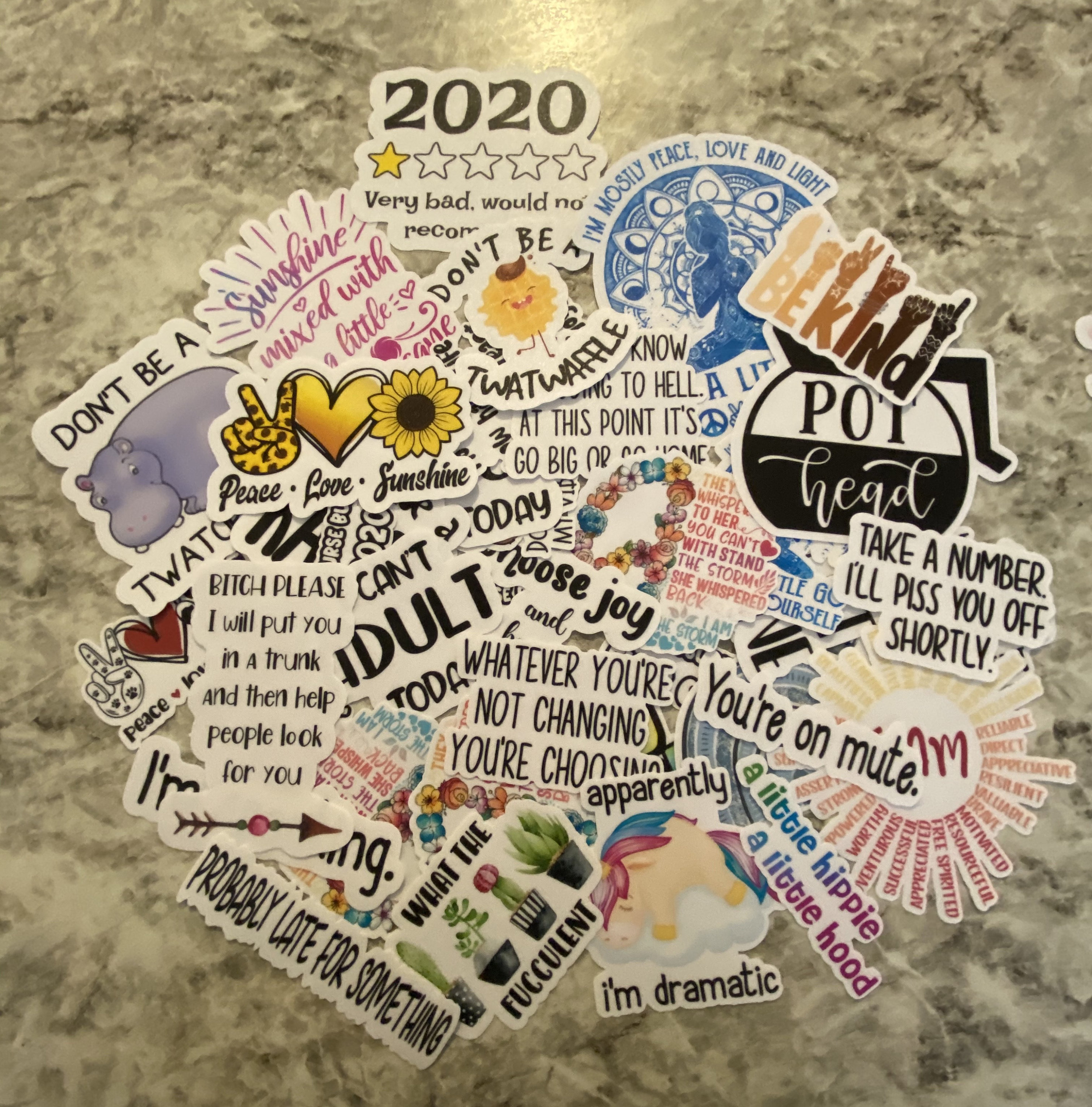 Sarcastic Stickers I'm Actually Not Funny Funny - Etsy