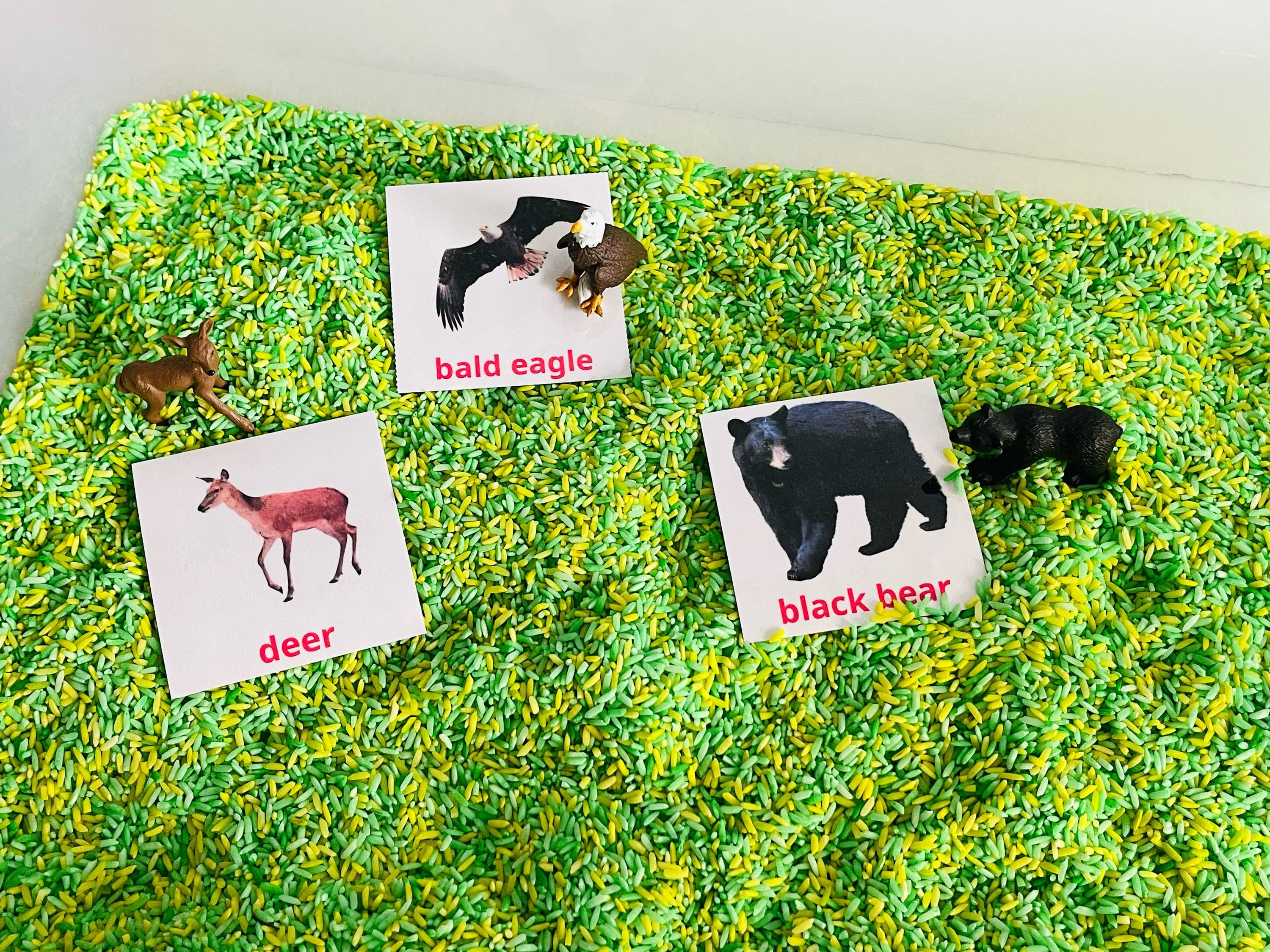 Camping Sensory Bin | Woodland Sensory Bin | Play Kit | Educational Toy ...