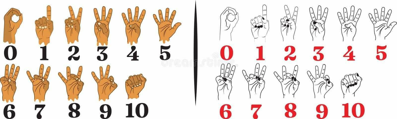 Sign Language Numbers 1 100