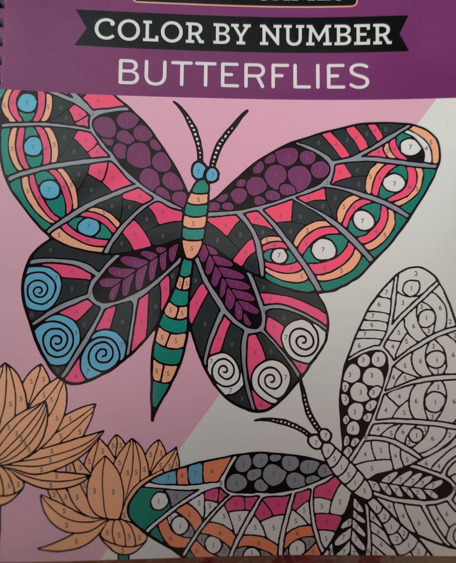 Color by Number Butterflies - Etsy