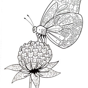 Color by Number Butterflies - Etsy