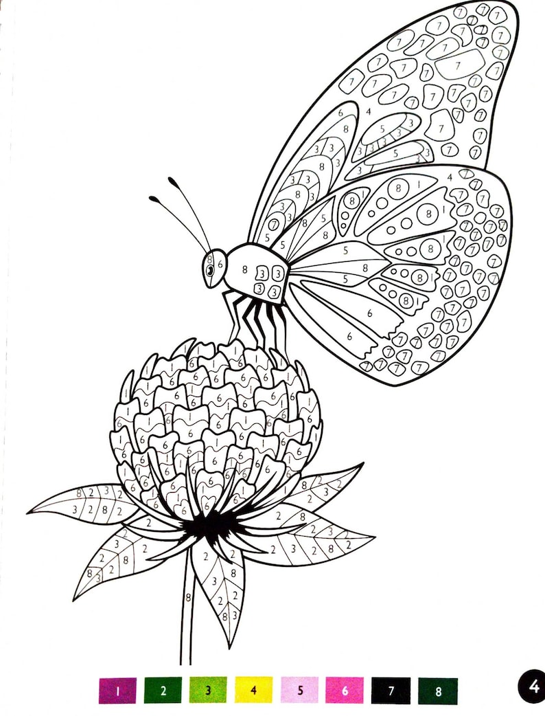 Color by Number Butterflies - Etsy