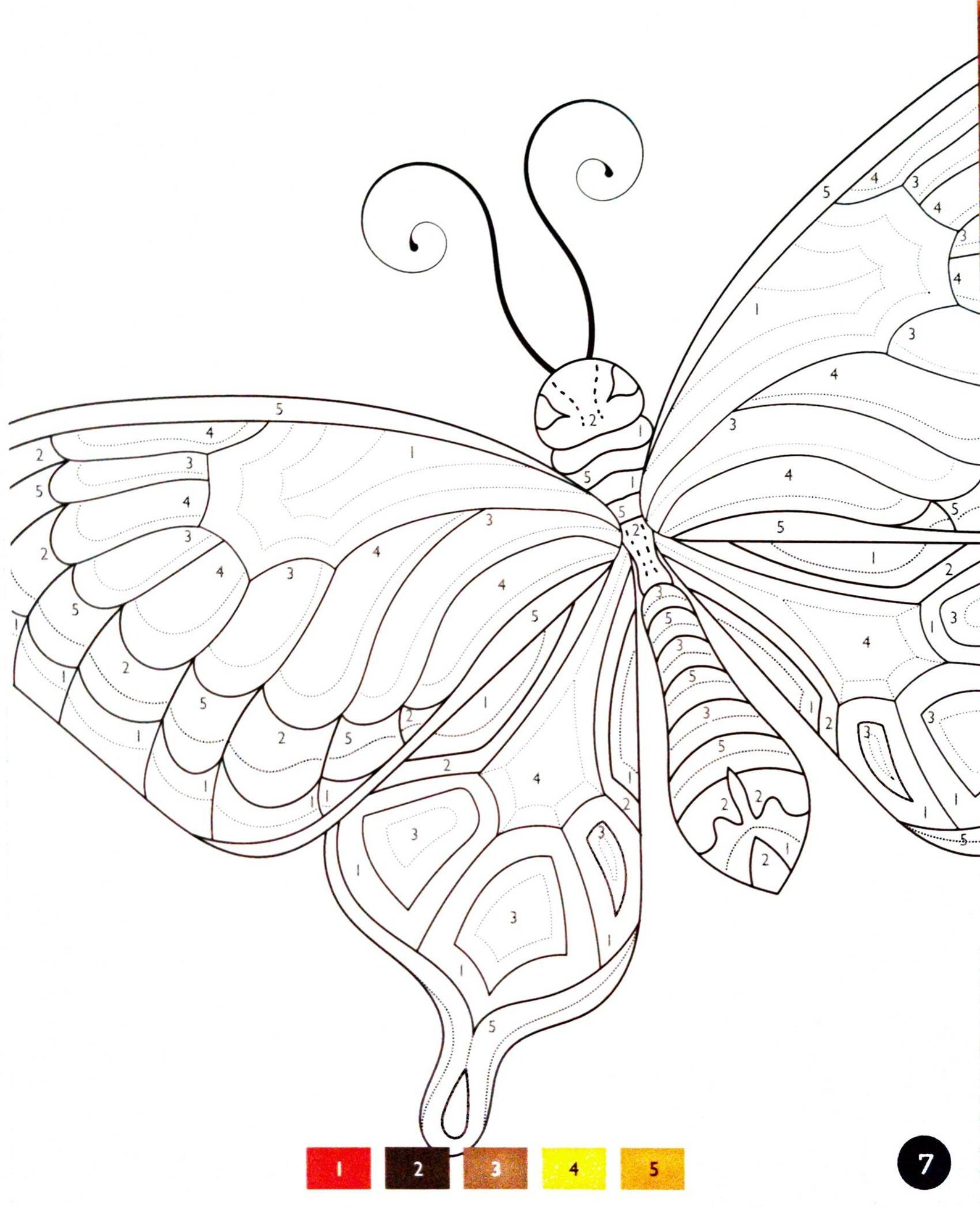 Color by Number Butterflies - Etsy