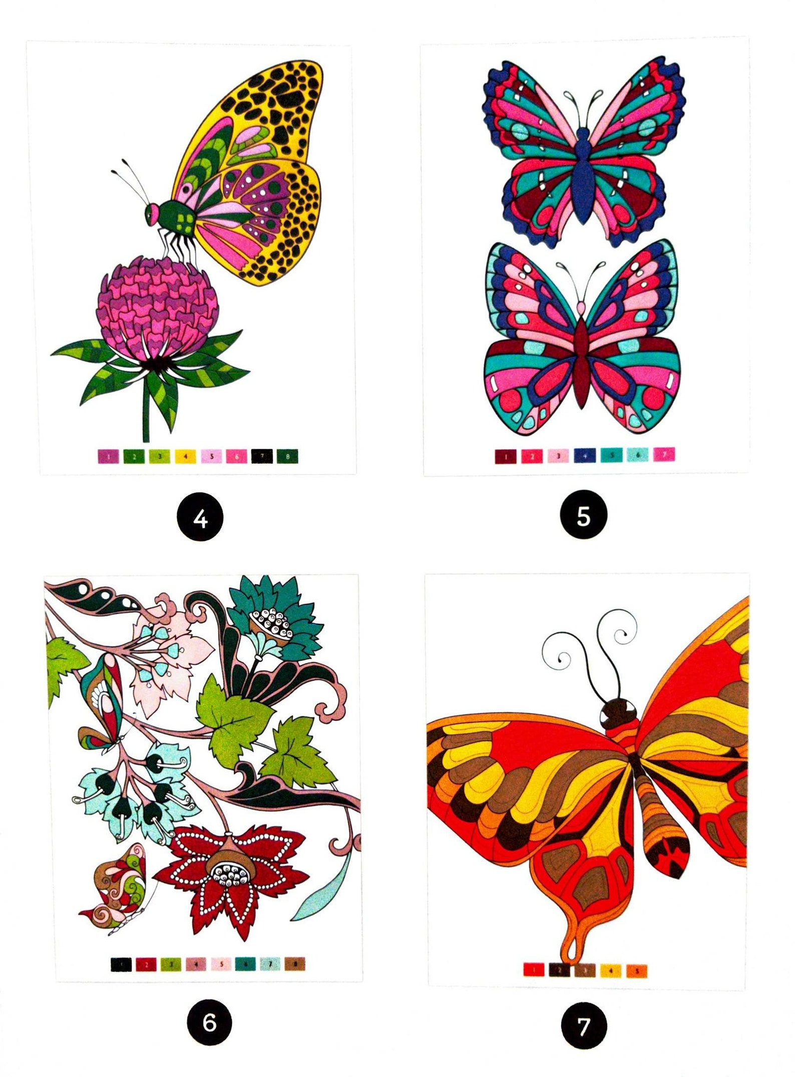 Color by Number Butterflies - Etsy