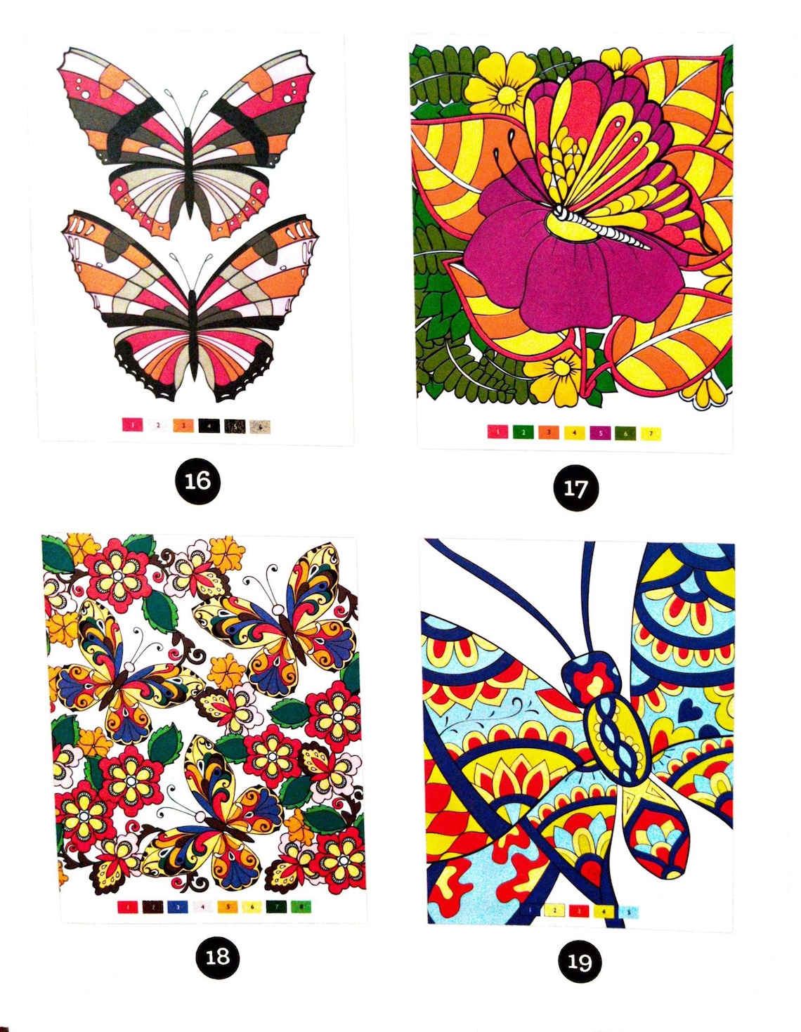 Color by Number Butterflies - Etsy