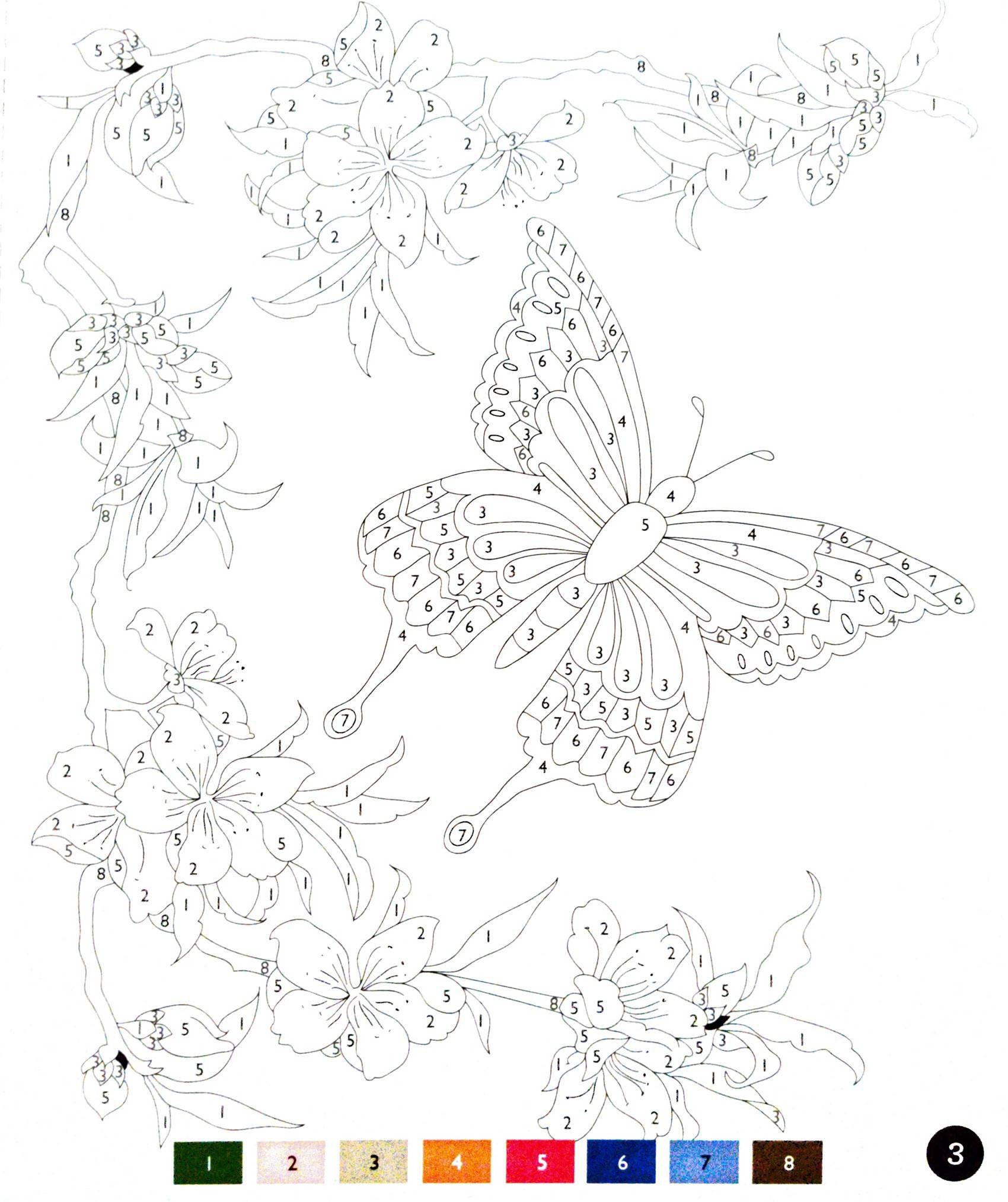 Color by Number Butterflies - Etsy