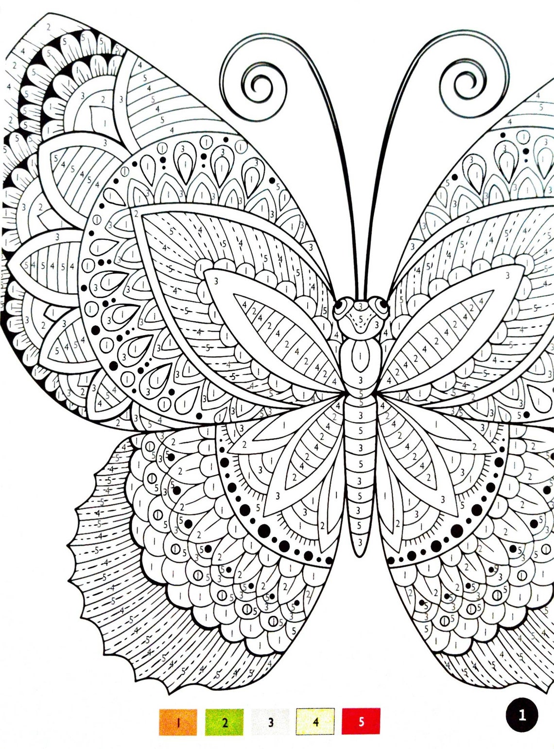 Color by Number Butterflies - Etsy