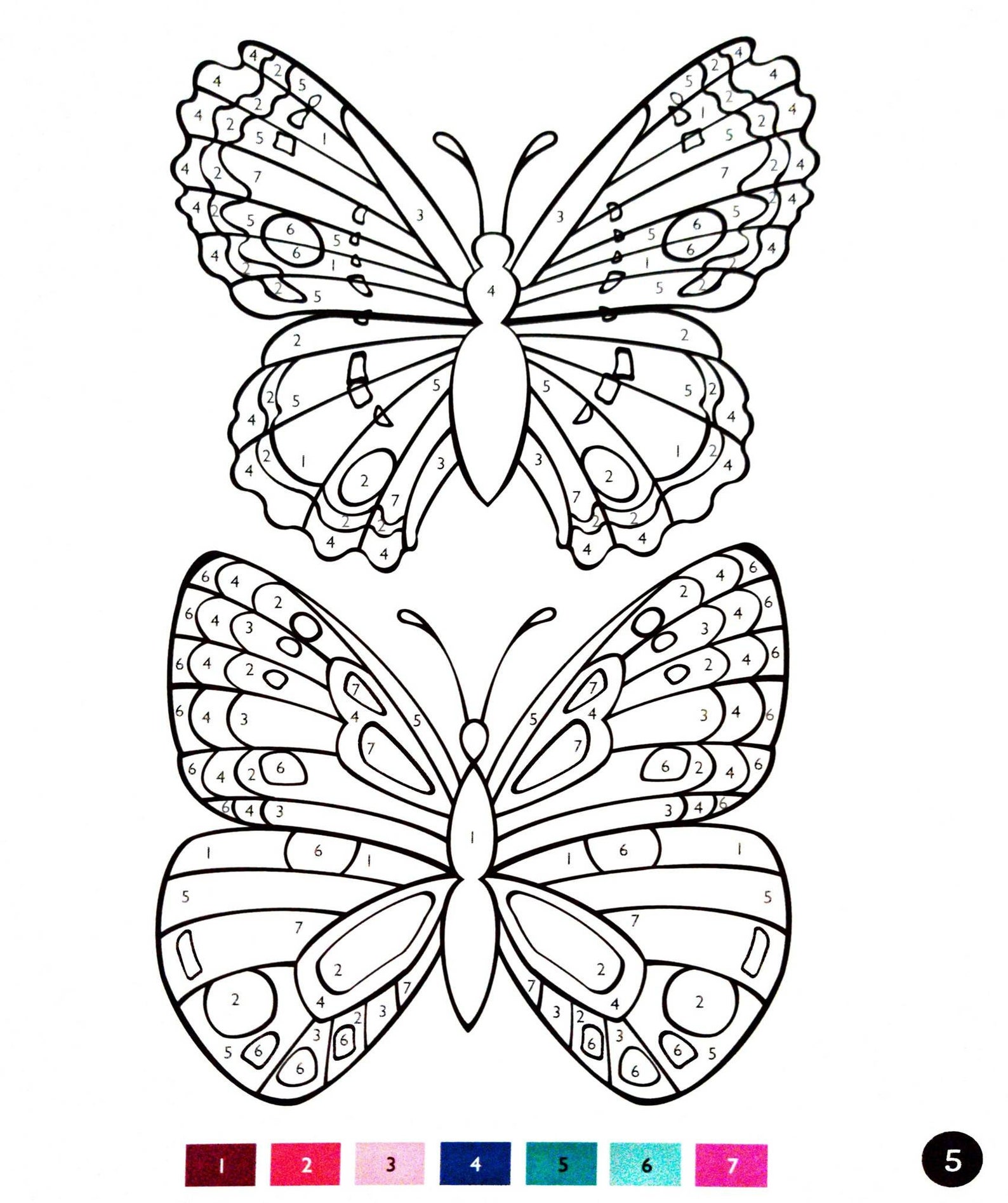 Color by Number Butterflies - Etsy