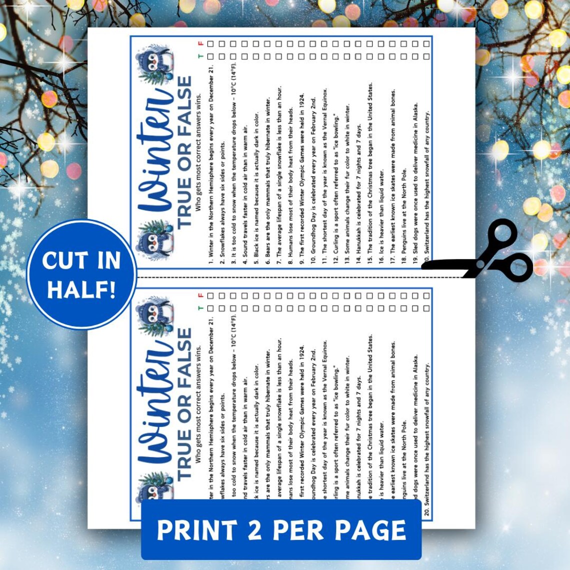 Winter True or False Game, Printable Winter Game, Winter Trivia Quiz ...