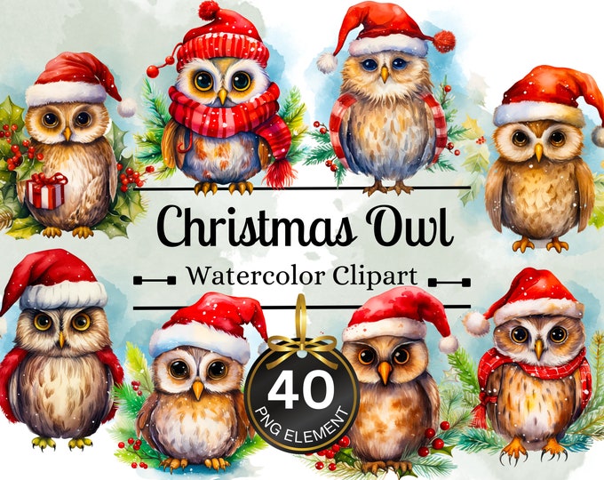 Owl Clipart, Owls Clipart Funny Owl Png Christmas Owl Christmas Clipart ...