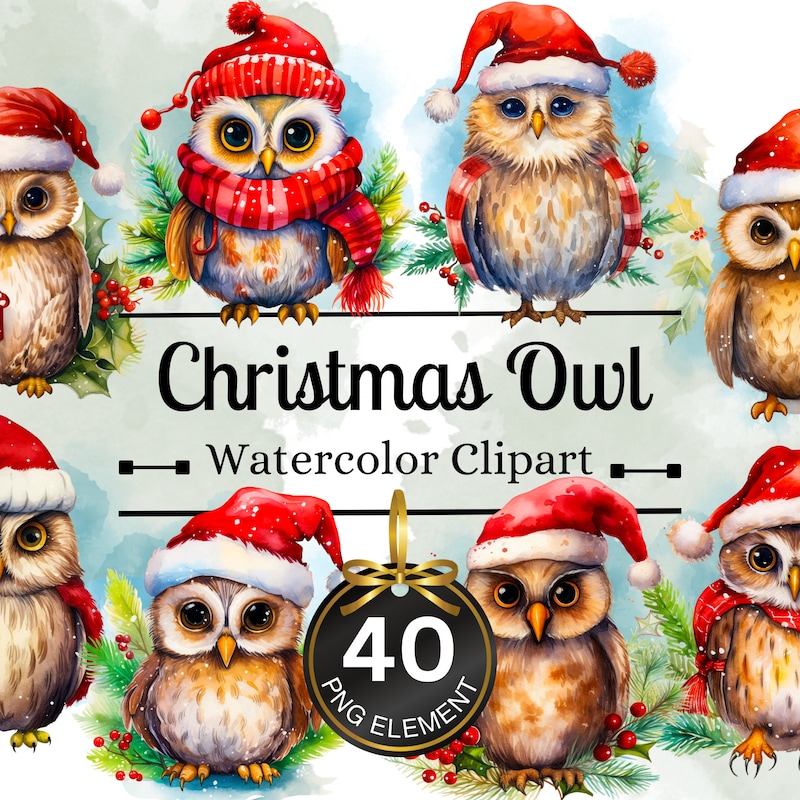Cute Winter Owl Clipart - Etsy