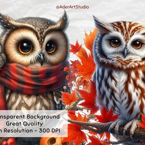 Watercolor Autumn Owl Clipart, Cute Fall Owl Images, Owl Clipart, Cozy ...