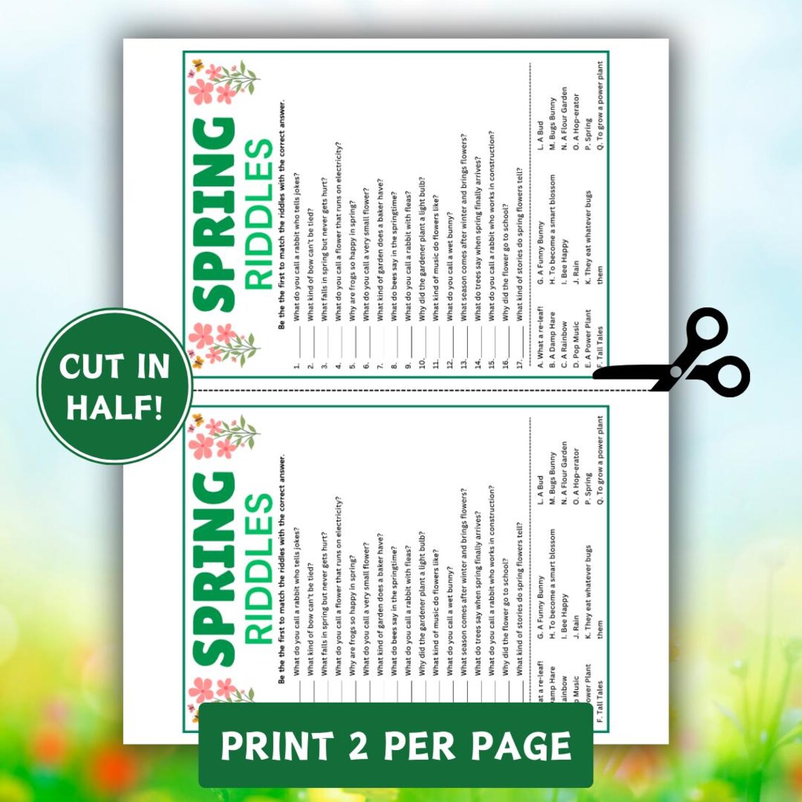 Spring Riddle Game, Printable Spring Trivia Game, Riddle Quiz, Senior ...