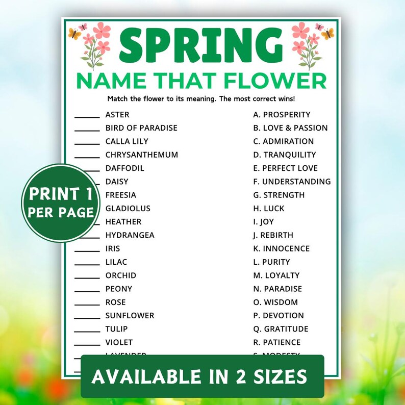 Flowers Trivia Match up Game, Printable Spring Games, Spring Trivia ...