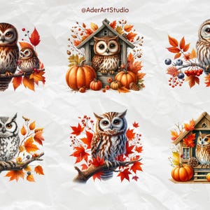 Watercolor Autumn Owl Clipart, Cute Fall Owl Images, Owl Clipart, Cozy ...