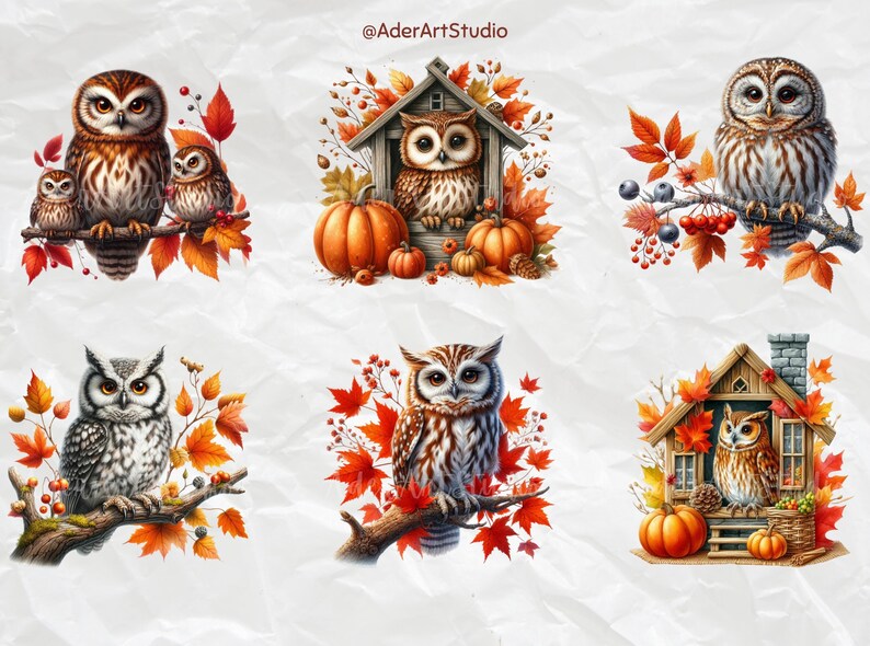 Watercolor Autumn Owl Clipart, Cute Fall Owl Images, Owl Clipart, Cozy ...