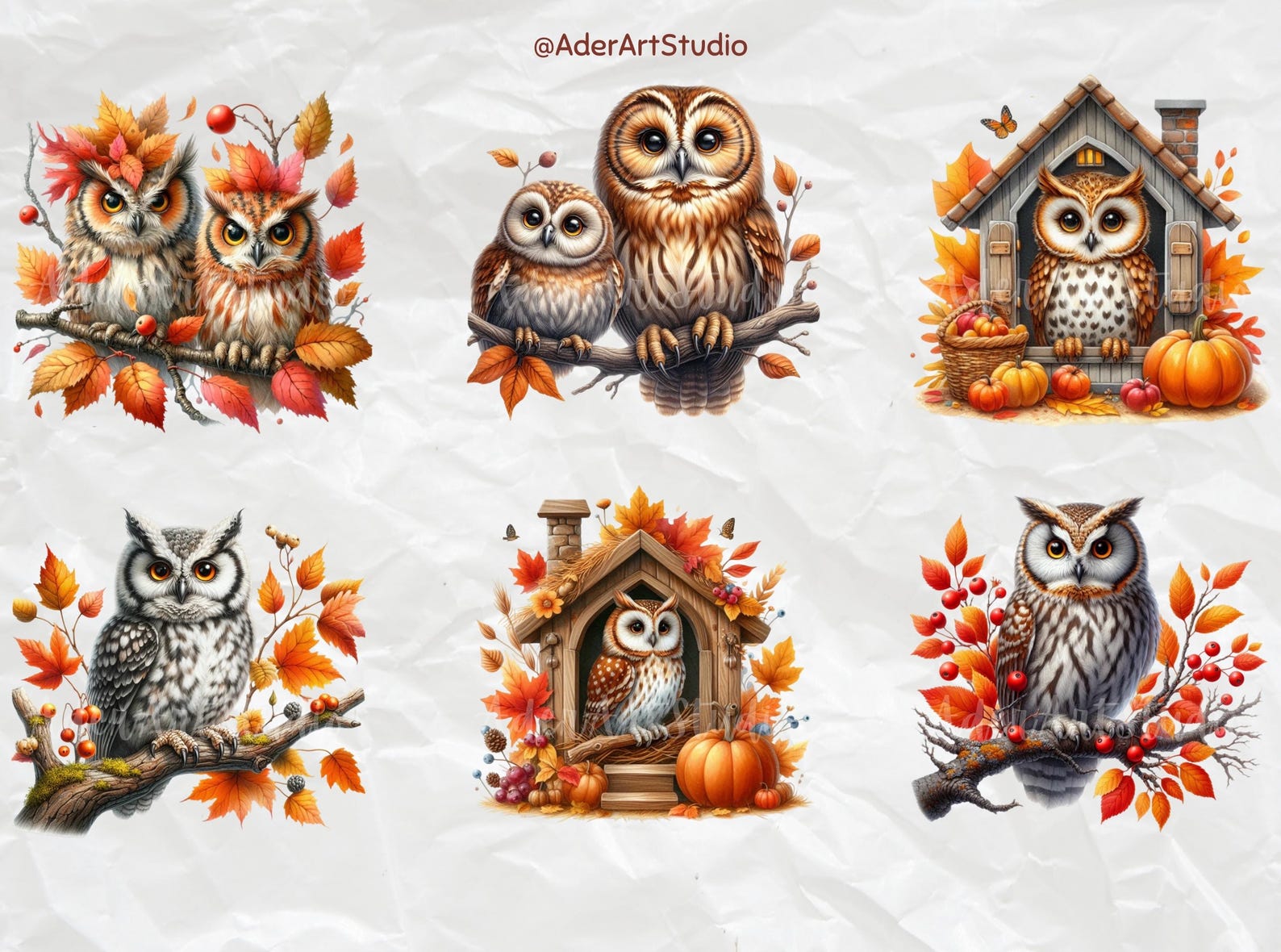 Watercolor Autumn Owl Clipart, Cute Fall Owl Images, Owl Clipart, Cozy ...