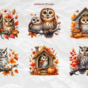 Watercolor Autumn Owl Clipart, Cute Fall Owl Images, Owl Clipart, Cozy ...