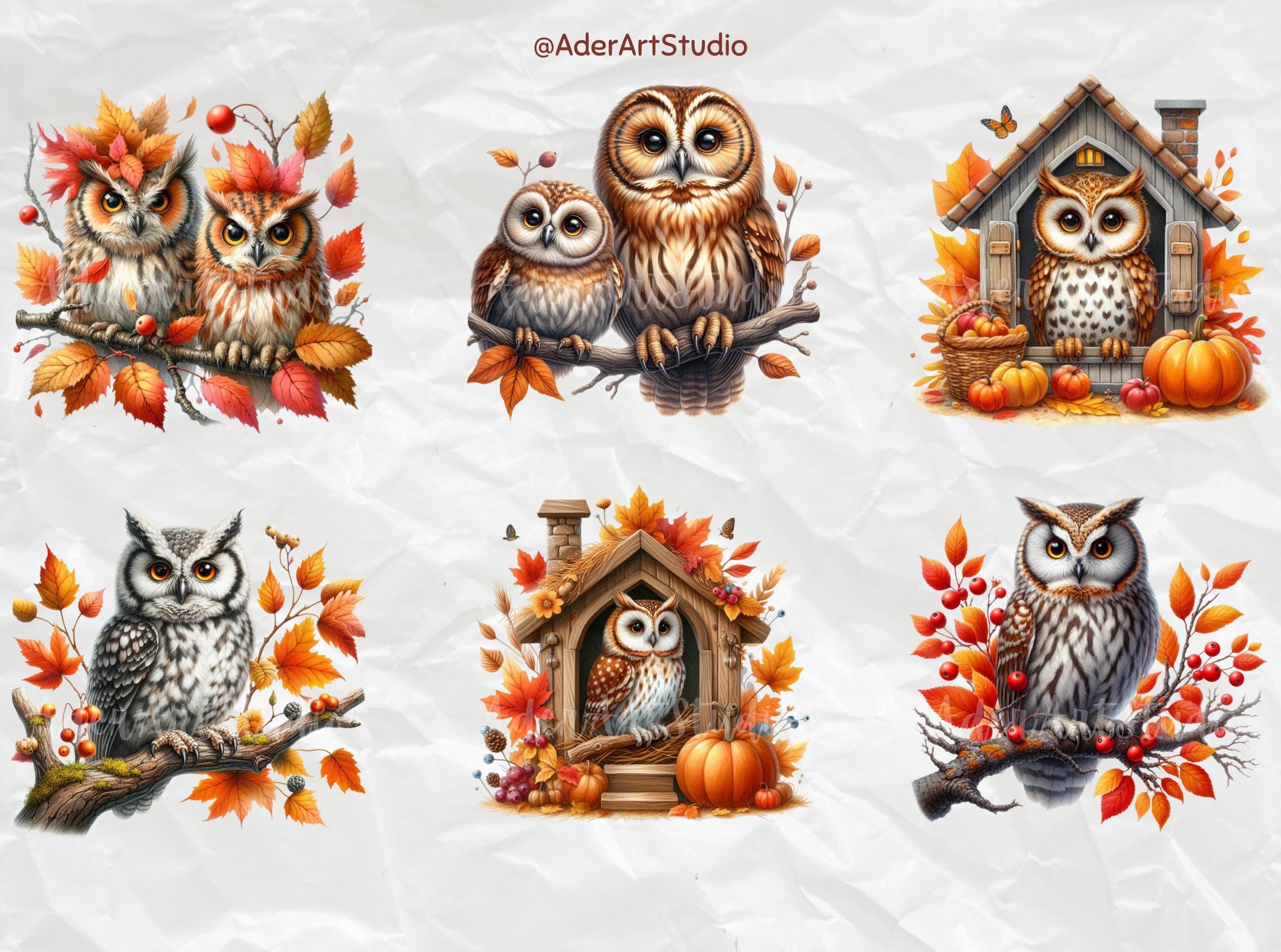 Watercolor Autumn Owl Clipart, Cute Fall Owl Images, Owl Clipart, Cozy ...