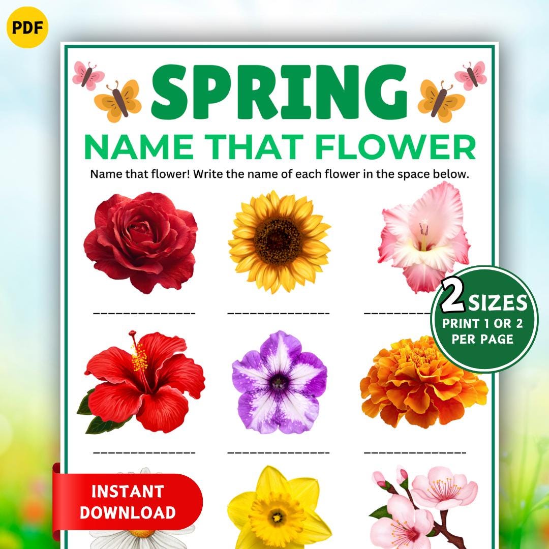 Flower Trivia Game, Name the Flower, Printable Springtime Game, Spring ...