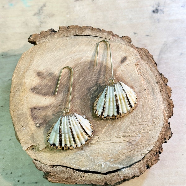 Real Seashells - Etsy