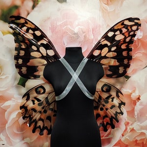 Butterfly Large Wings Butterfly Wings for Adult Butterfly - Etsy