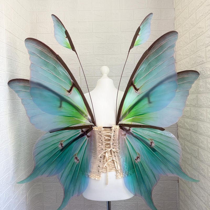 Moth Fursuit - Etsy