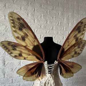 Brown Cicada Fairy Wings, Insect Cosplay for Adult, Wings for Costume ...
