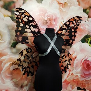 Butterfly Large Wings Butterfly Wings for Adult Butterfly - Etsy