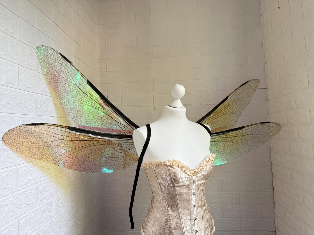 Iridescent Dragonfly Wings, Wings Photo Prop, Fairy Dragonfly Wings ...