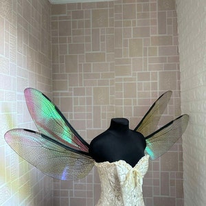 Iridescent Dragonfly Wings, Wings Photo Prop, Fairy Dragonfly Wings - Etsy