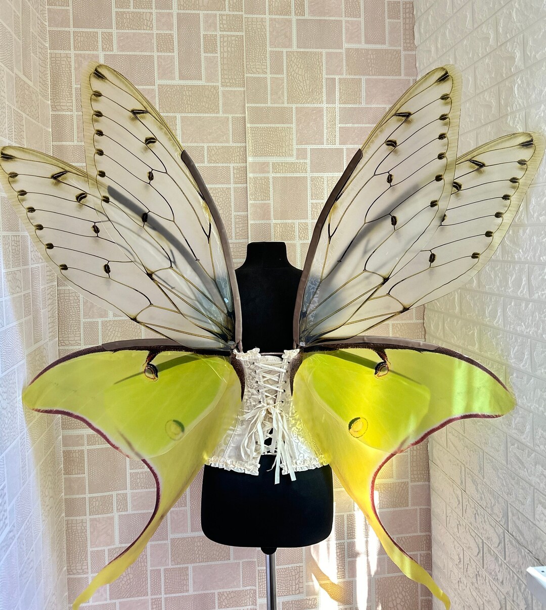 Large Adult Butterfly Wings, Luna Moon Moth Wings, Green Cicada Wings ...