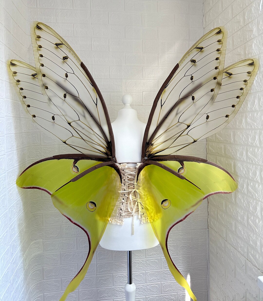 Large Adult Butterfly Wings, Luna Moon Moth Wings, Green Cicada Wings ...