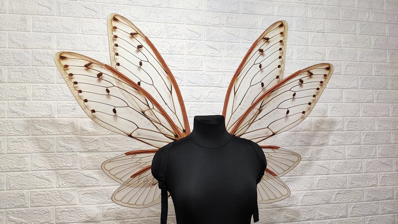 Cicada Wings Moth Wings Fairy Wings Wings for Costume - Etsy